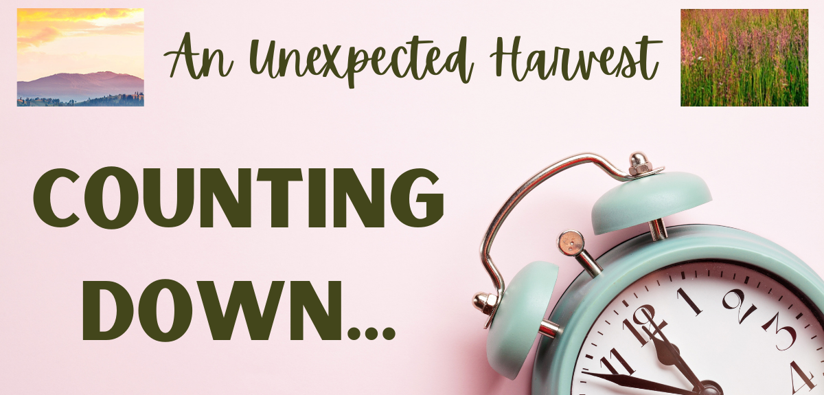 It’s Almost Here! – Cat Andrews, Author